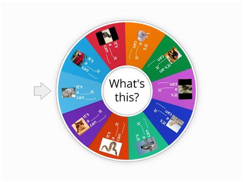 Animals Wheel Chart Random Wheel