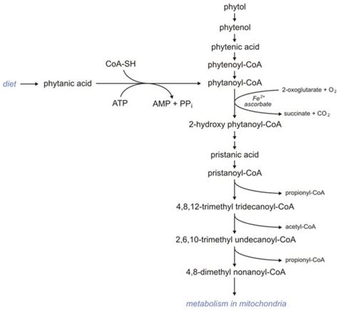 The Physiological And Pathological Role Of Acyl Coa Oxidation