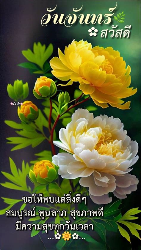วันจันทร์สวัสดี ความงามของดอกไม้ วันสิ้นปี สุขสันต์วันจันทร์
