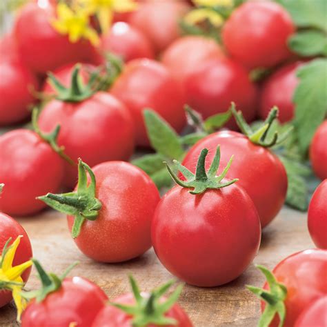 Tui Tomato Seed Cocktail