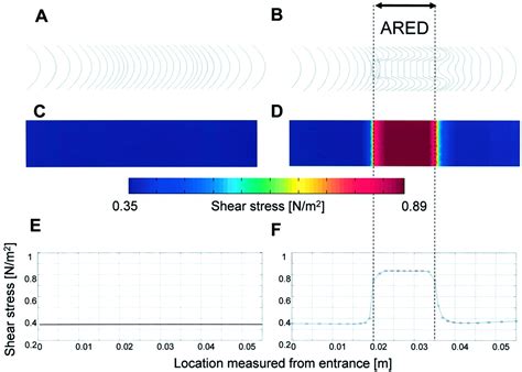 Shear Image Augmentation At Wilma Scanlon Blog