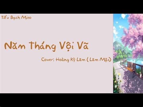 Vietsub Pinyin Năm Tháng Vội Vã Hoàng Kỳ Lâm Lâm Mặc 匆匆那年