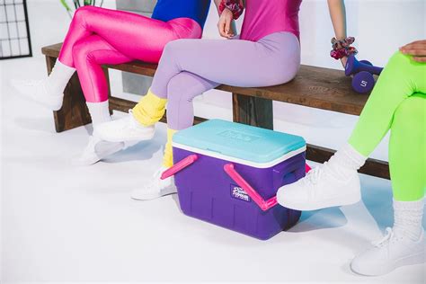 Igloo Retro Purple Igloo