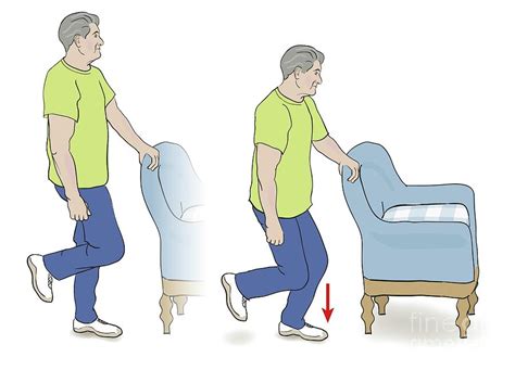 Knee Bend Exercises By Science Photo Library