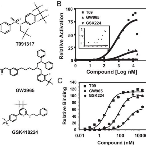 Transactivation By Lxr Ligands Disproportionate To Coactivator