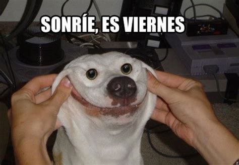 Memes Día Viernes El Humor Dedicado Al Mejor Día De La Semana
