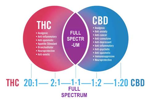 Medical Hemp Medicines Cbd Full Form Vedi