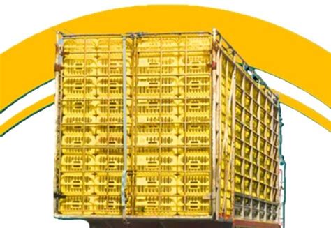 Plastic Poultry Crates Material Bamboo At Best Price In Ahilyanagar