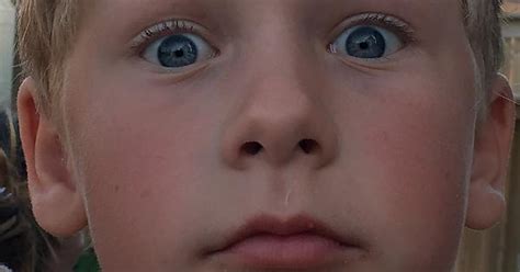 White Forehead Album On Imgur