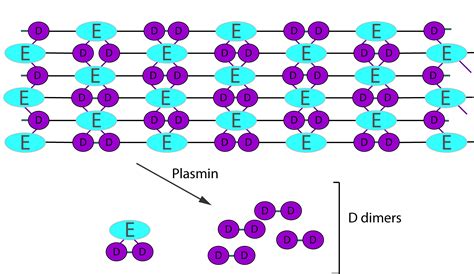 Fibrinogen Degradation Products Fdps