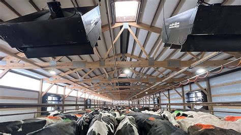 The Benefits Of Barn Ventilation In Dairy Holding Areas Jandd Manufacturing