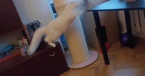 Gandalf Paweł Jumper Album On Imgur