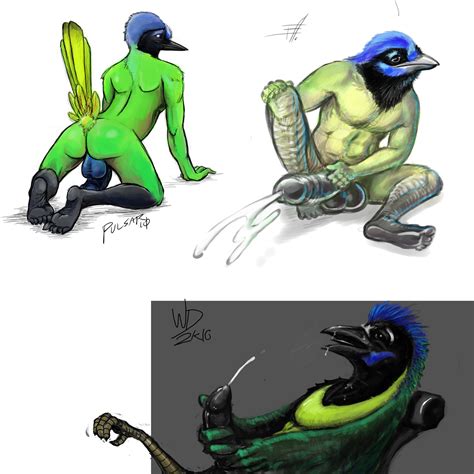 Rule 34 1boy Avian Balls Beak Big Penis Bird Hyper Jay Male Male Only