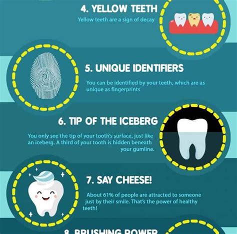 10 Interesting Facts About Your Teeth Infographic Best Infographics