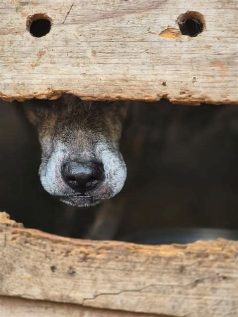 Un Kouchi No Ta Kas Extra Bonaire