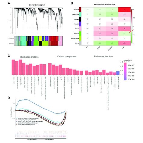 Results Of Weighted Gene Co Expression Network Analysis In Tcga Prad Download Scientific