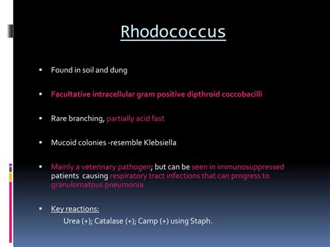 Ppt Bacterial Characteristics Powerpoint Presentation Free Download