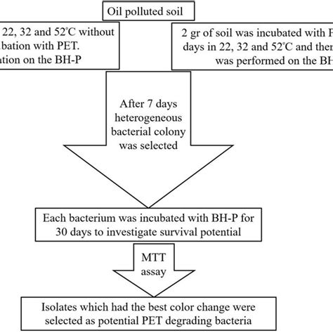Schematic Representation Of Bacterial Screening Steps Download