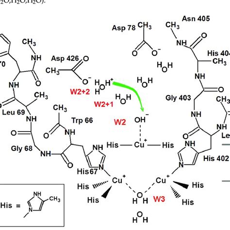 Dft Calculations Model Chosen For A Proton Transfer Green Arrow Along