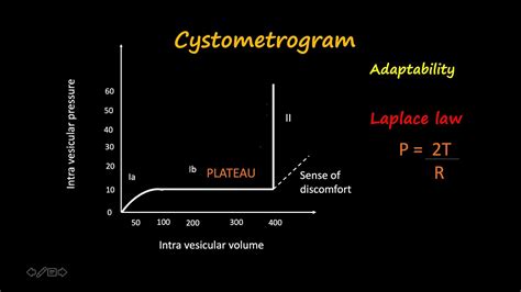 The Concept Of Cystometrogram Simplified Youtube