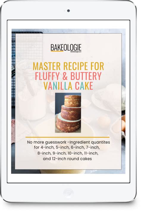 Fluffy And Buttery Vanilla Cake Bakeologie