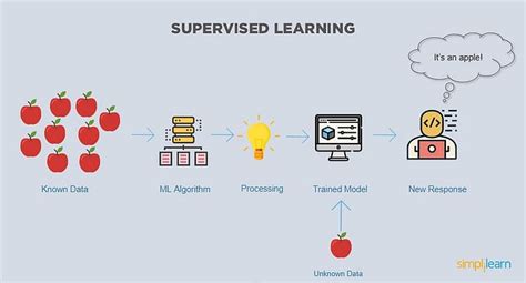 Modèles De Machine Learning Les Plus Utilisés En Apprentissage Supervisé
