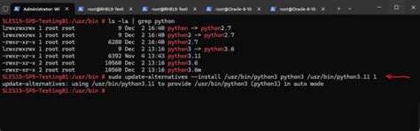 Mastering The Mitmproxy Mitm Interactive Proxy On Linux