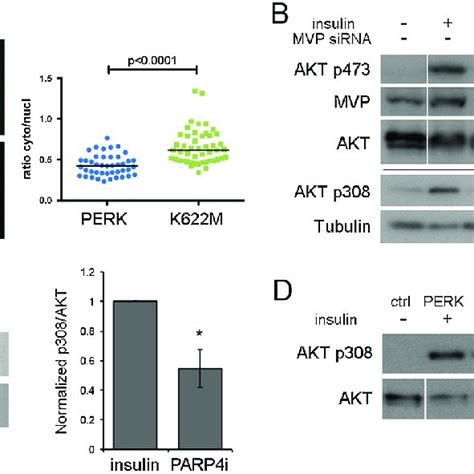 Characterization Of Perk Inhibitors A In Vitro Kinase Assays Using
