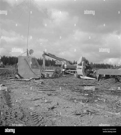 Machines Tools Tree Trunks Forestry Workers Draglines Date