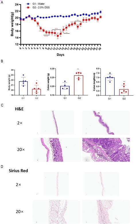 Preclinical Cro Animal Models And Human Antibodies Biocytogen