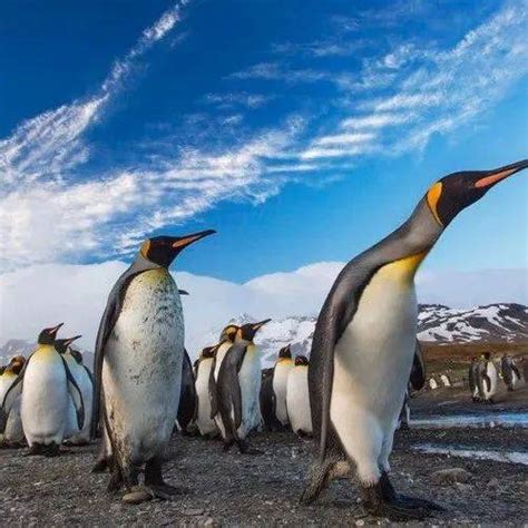 Linux ‘网络配置 和 ‘故障排除 命令总结ethpingbytes Linux ‘网络配置 和 ‘故障排除 命令总结ethpingbytes