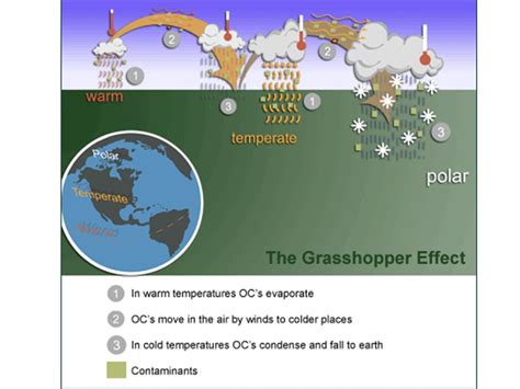 Environmental Chemistry Ppt Download