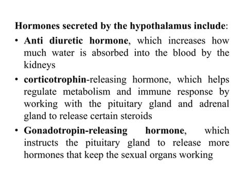 Parts Of Forebrain Pptx