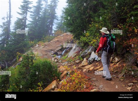 Hiker At Cascade Pass Over The Northern Cascade Range In North