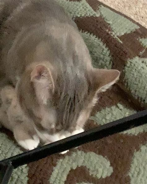 Jozalyn Sharp Home Facebook