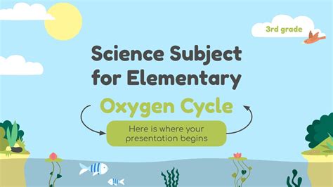 Oxygen Cycle Class 9