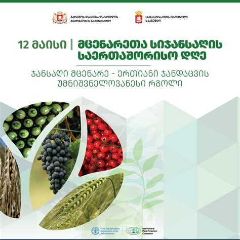 სურსათის ☘️ 12 მაისი მცენარეთა სიჯანსაღის საერთაშორისო დღეა
