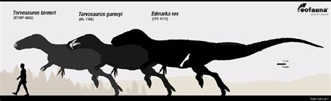 Torvosaurus Pictures And Facts The Dinosaur Database