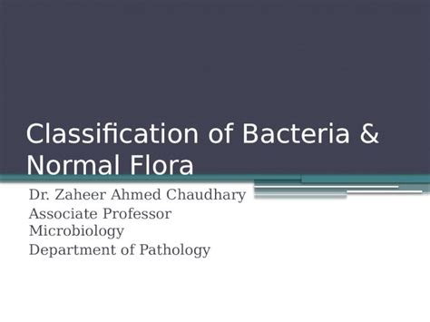 Pptx Classification Of Bacteria And Normal Flora Dokumentips