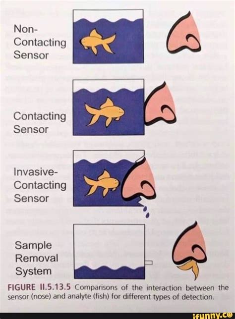 Non Contacting Sensor Contacting Sensor Invasive Contacting Sensor