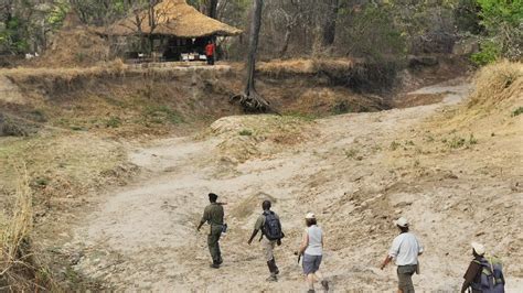 Chikoko Trails Safari And Beach