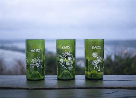 Vasos Reciclados “flora Chilota” Set 3 Reverdece