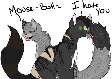 Mousebutt By Muramia On Deviantart