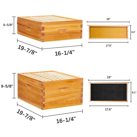Maybee Hives Standard Langstroth Hive 10 Frame 2 Layer Hive Include Co