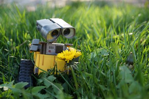 Download Wall E In The Grass Wallpaper