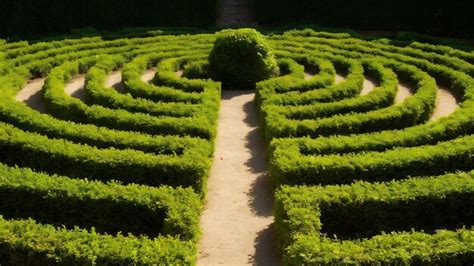 Premium Photo Plant Of Labyrinth At Parc Del Laberint De Horta In