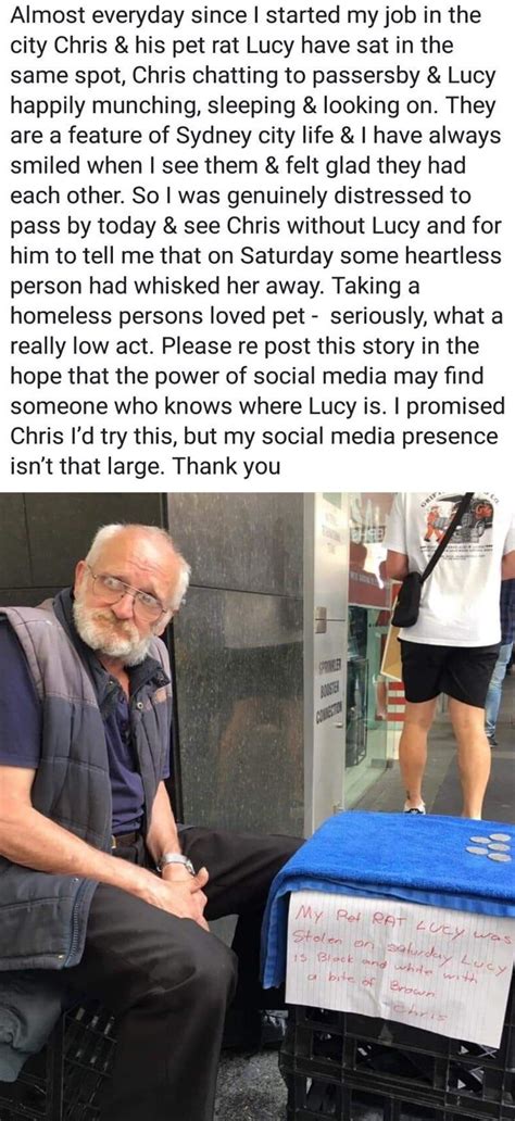 Noah Get The Boat Its Time For Rain R Noahgettheboat