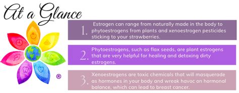 Phytoestrogens Vs Xenoestrogens Breast Cancer Conqueror