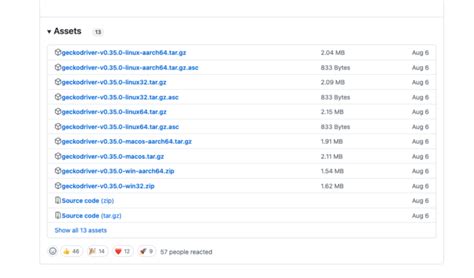 How To Download And Set Up Selenium Webdriver Browserstack