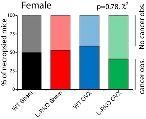Figures And Data In Ovariectomy Uncouples Lifespan From Metabolic